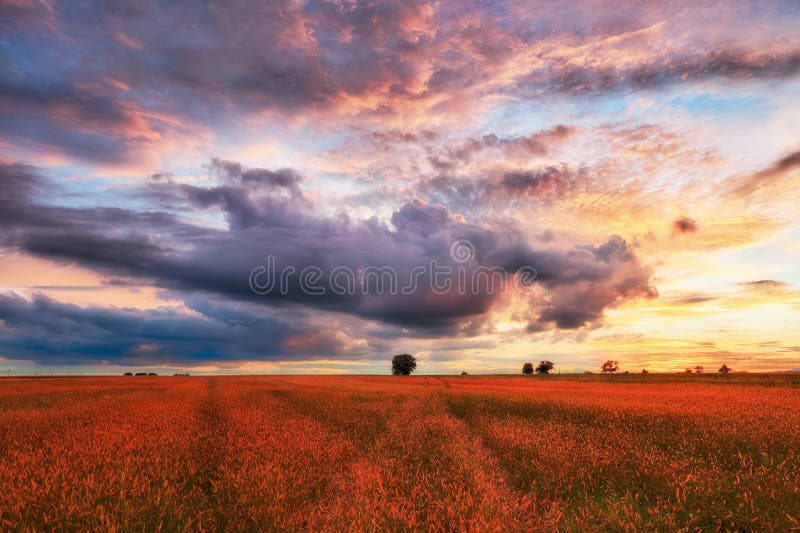 Dawn at the field stock photo. Image of light, clouded - 4394084