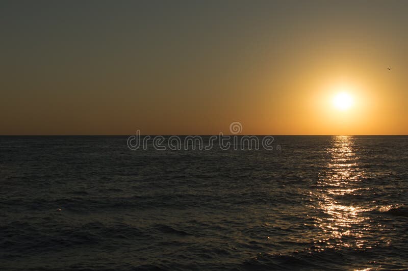 Landscape. a Sunny Sunset on the Seashore Stock Photo - Image of sunny ...