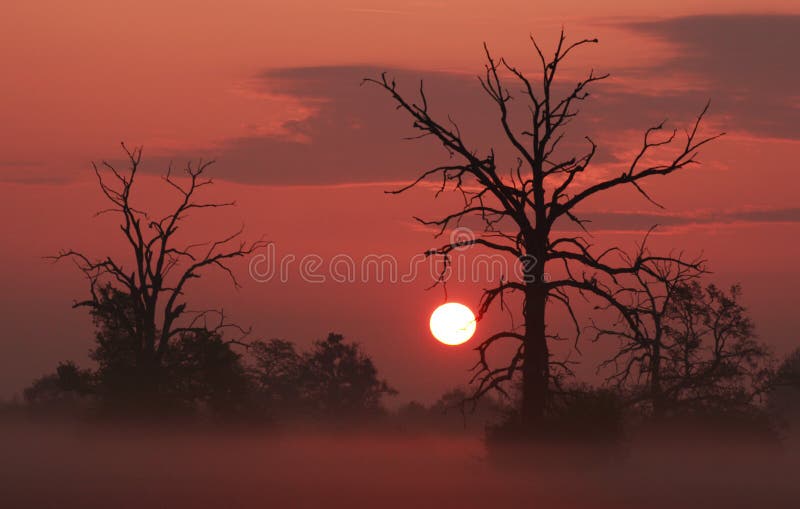 Landscape at sunset stock image. Image of quiet, sunup - 12495127
