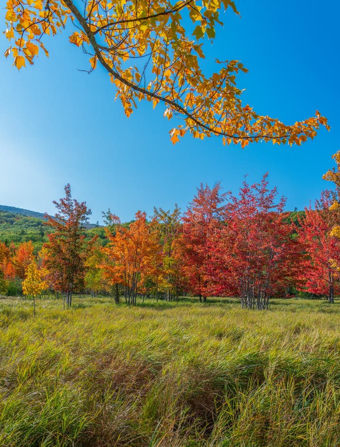 Autumn sunset colors stock image. Image of blue, outdoors - 129399867