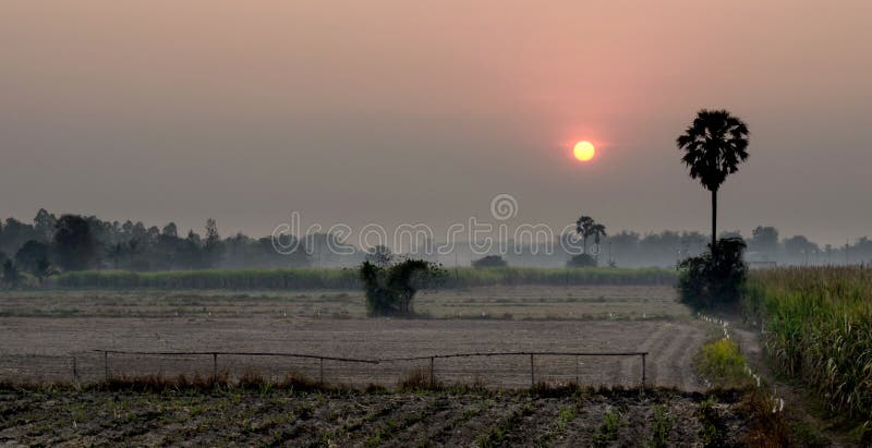 Landscape of Sunset in Country Stock Photo - Image of light, sundown ...