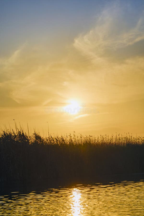 Landscape with Sunset in the Danube Delta Stock Image - Image of ...