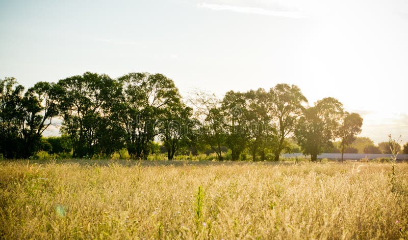Landscape Sunset of Field with Sunlight Stock Photo - Image of colorful ...
