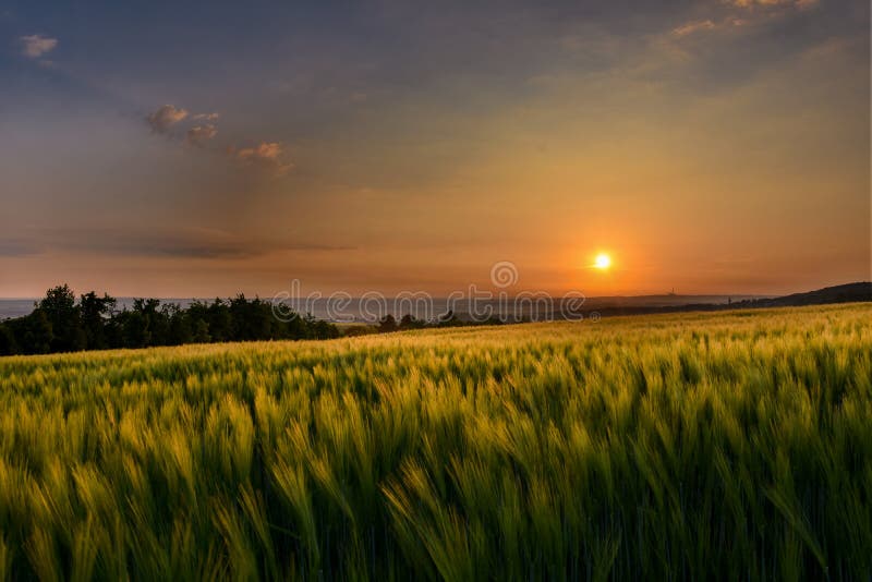 Landscape Sunset Over the Field. Stock Photo - Image of land, farm ...