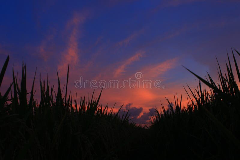 Landscape Sunset Red Color with Dark Clouds Stock Photo - Image of ...