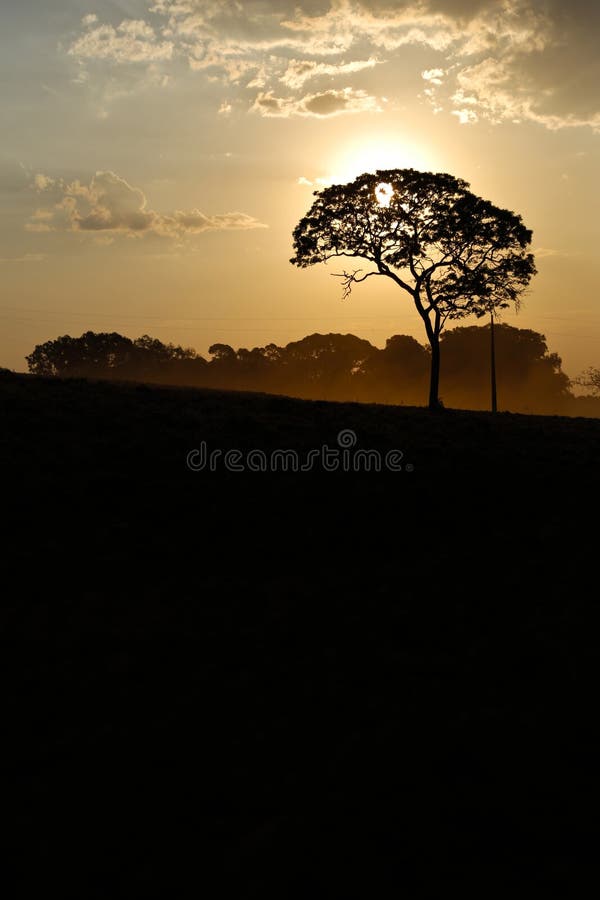 Landscape with sunset stock photo. Image of tree, land - 61085594