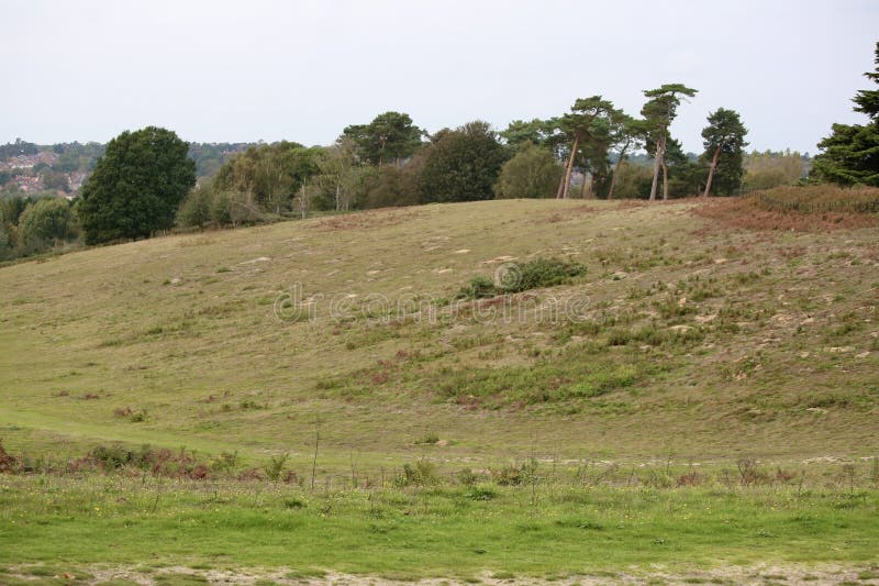 Landscape of Sutton Hoo stock image. Image of soil, countryside - 294167979