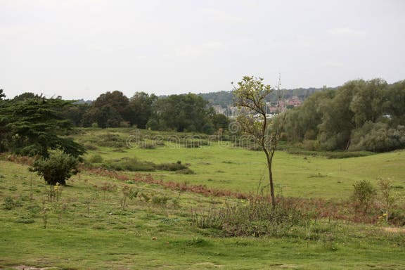 Landscape of Sutton Hoo Suffolk Stock Image - Image of soil, clouds ...