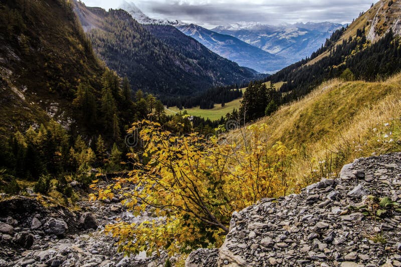 Landscape of the Swiss Alps in the Fall Stock Image - Image of nature ...