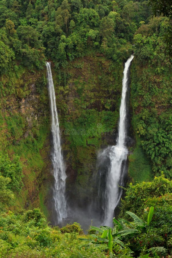 Landscape of Tad Fan Waterfall Stock Photo - Image of loop, plateau ...