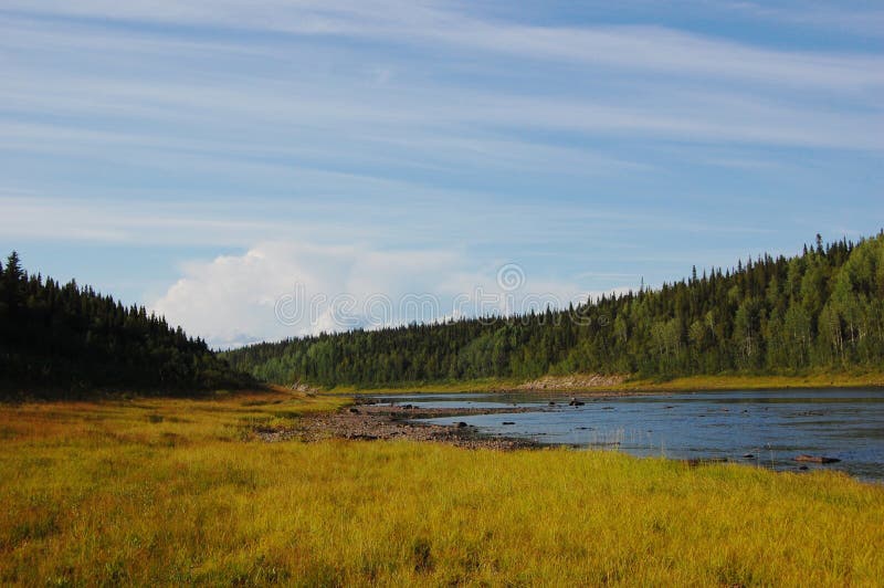 Landscape of the Taiga River. Stock Image - Image of forest, russia ...