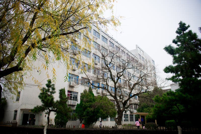 Landscape Teaching Building in Rain -in the Shade of Trees Stock Photo ...