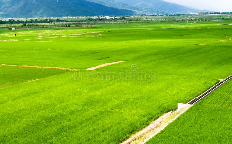 Landscape of Terraced Field Stock Image - Image of field, green: 10879567