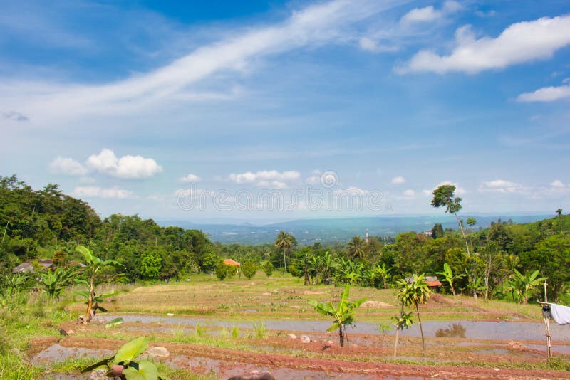 Landscape of Terraced Rice Fields in Sukabumi, West Java, Indonesia ...
