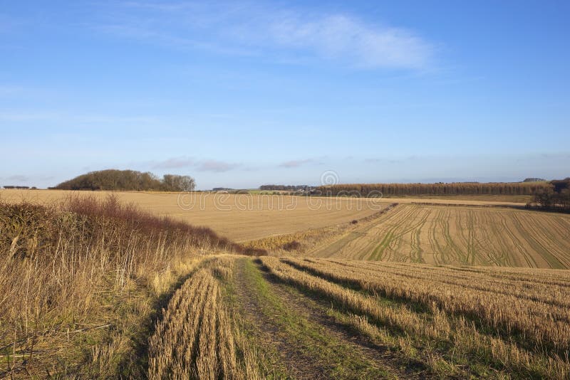 Landscape Texture and Patterns Stock Photo - Image of blue, countryside ...