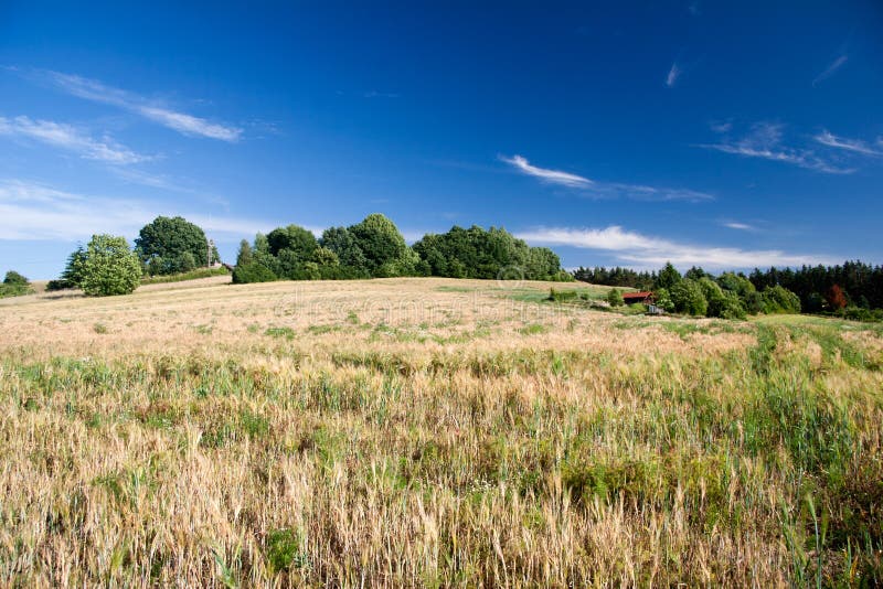 Landscape Thuringia stock image. Image of tree, landscape - 37466259