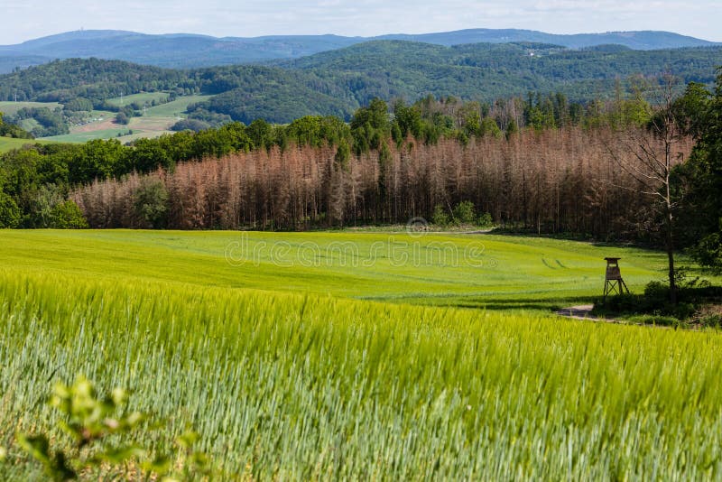 Landscape of the Thuringia Forest in Germany Stock Image - Image of ...