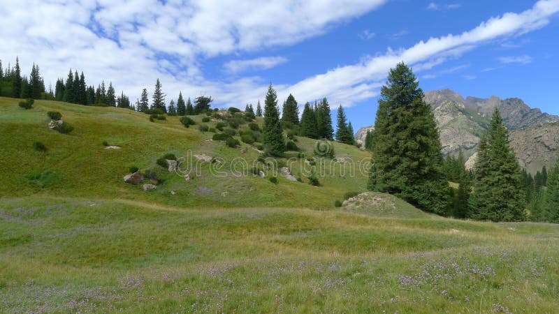 Landscape in Tianshan Mountain Stock Photo - Image of floral, climbing ...