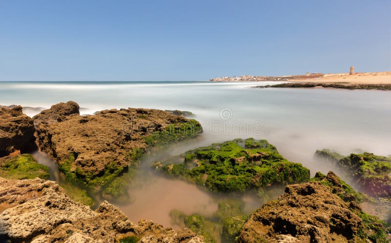 Tifnit - Morocco stock photo. Image of typical, wild - 120259522