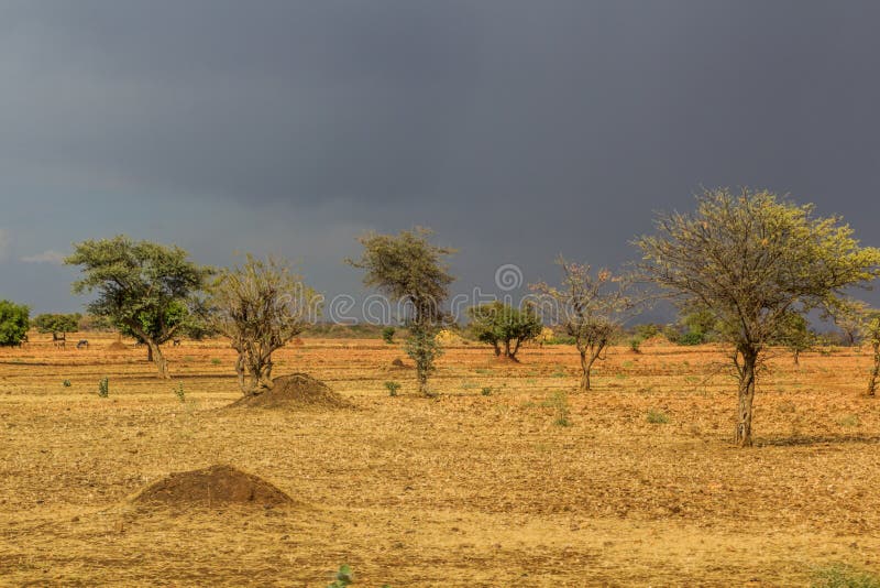Landscape of Tigray Region, Ethiop Stock Image - Image of nature ...