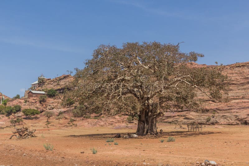 Landscape of Tigray Region, Ethiop Stock Photo - Image of remote ...
