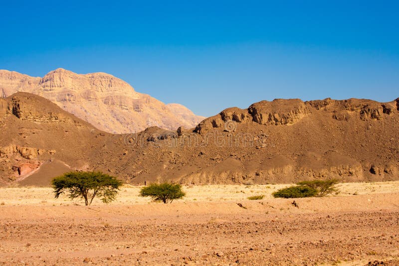 Landscape from Timna National Park, Israel Stock Image - Image of ...