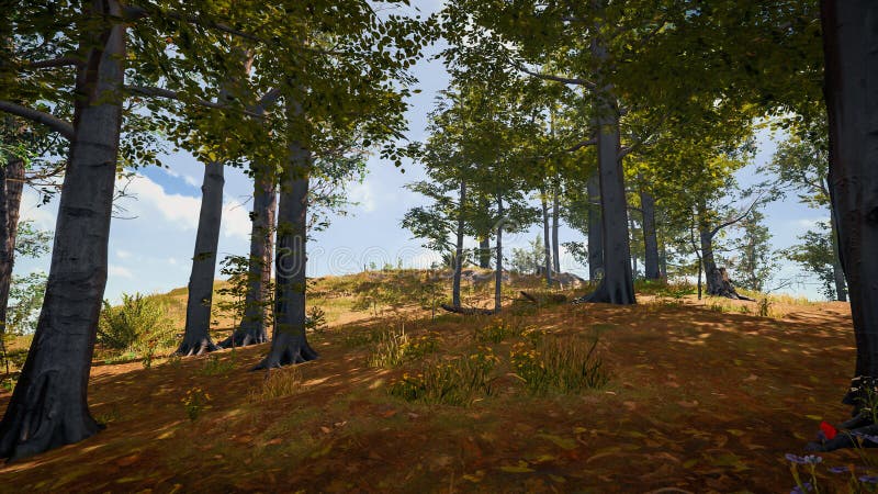 Landscape To Illustrate Sustainable Development Goals, and Ecosystem ...