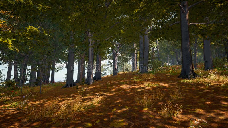 Landscape To Illustrate Sustainable Development Goals, and Ecosystem ...