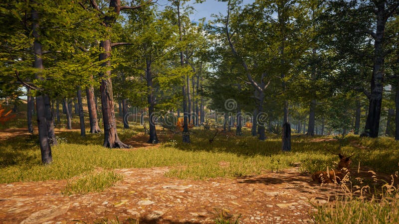 Landscape To Illustrate Sustainable Development Goals, and Ecosystem ...