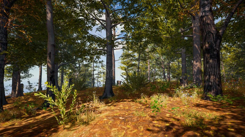 Landscape To Illustrate Sustainable Development Goals, and Ecosystem ...