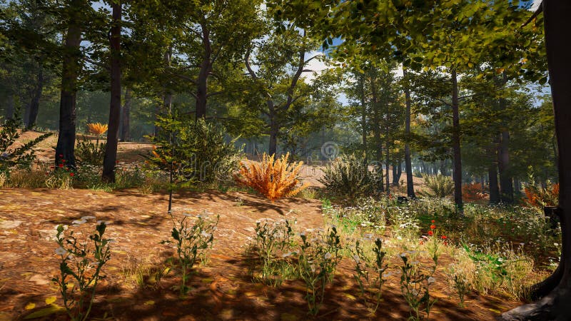 Landscape To Illustrate Sustainable Development Goals, and Ecosystem ...