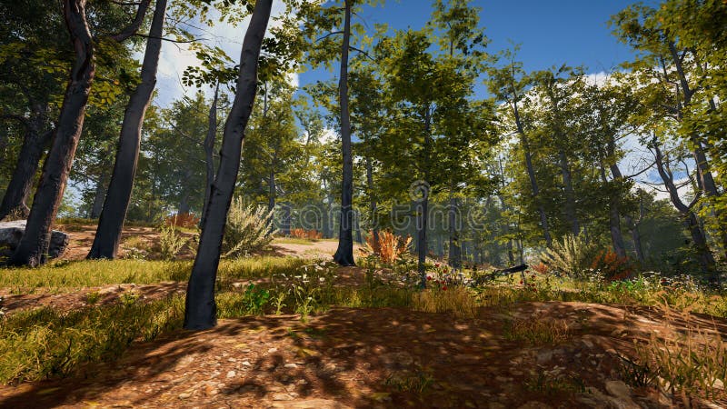 Landscape To Illustrate Sustainable Development Goals, and Ecosystem ...