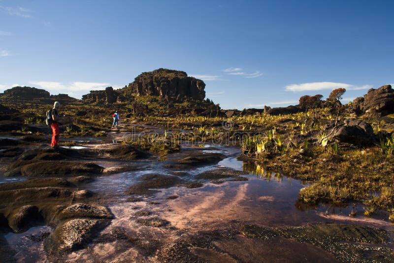 Landscape on the Top of Mount Roraima, Venezuela Stock Image - Image of ...
