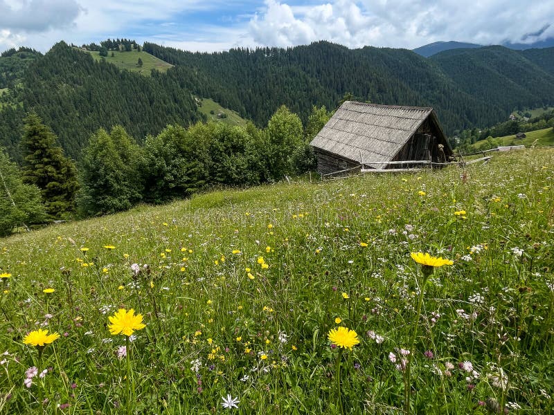 Landscape of Transilvania Moeciu De Sus Area Stock Photo - Image of ...