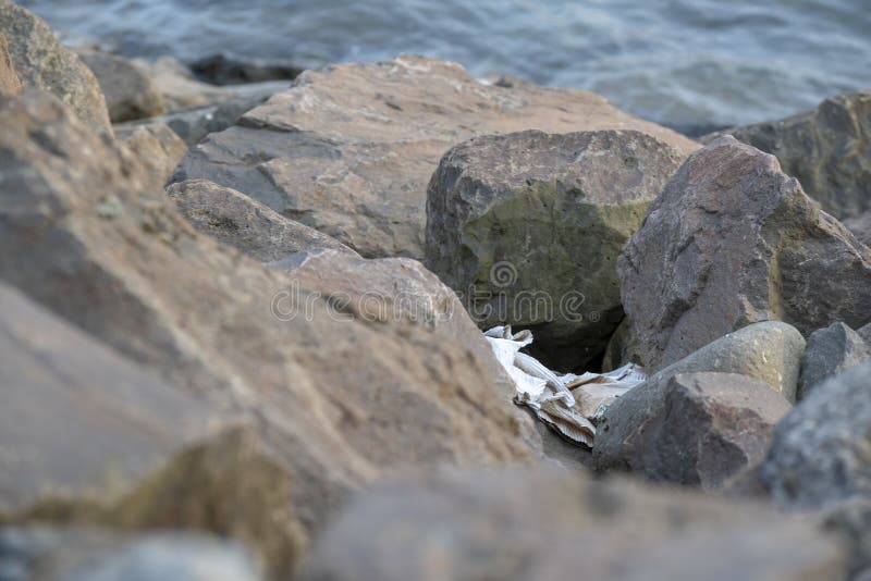 Landscape of Trash Litter Sitting on Rocks in Borgarnes Iceland Stock ...