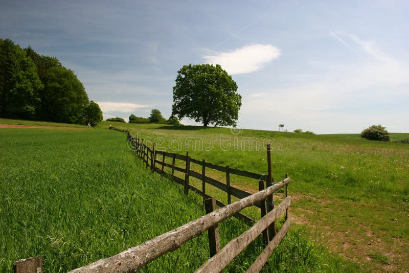 June Landscape stock photo. Image of evening, june, green - 2672414