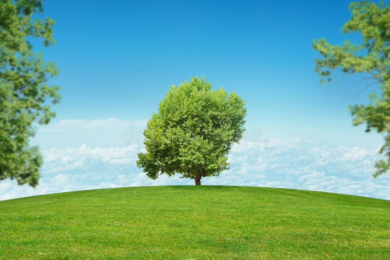 Landscape with Tree in Center Stock Photo - Image of grass, blue: 61213268