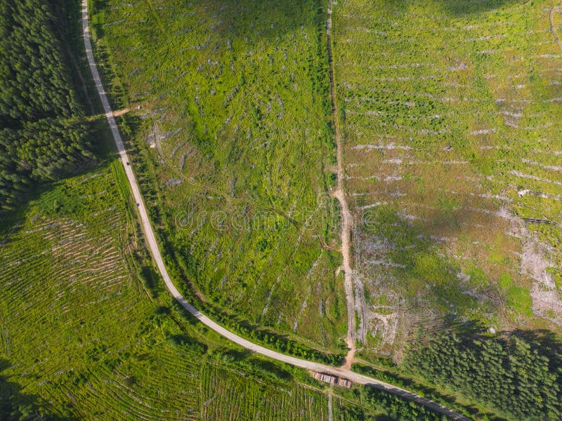 Landscape after Tree Clearing, with a Road and Forest. Top View. Stock ...
