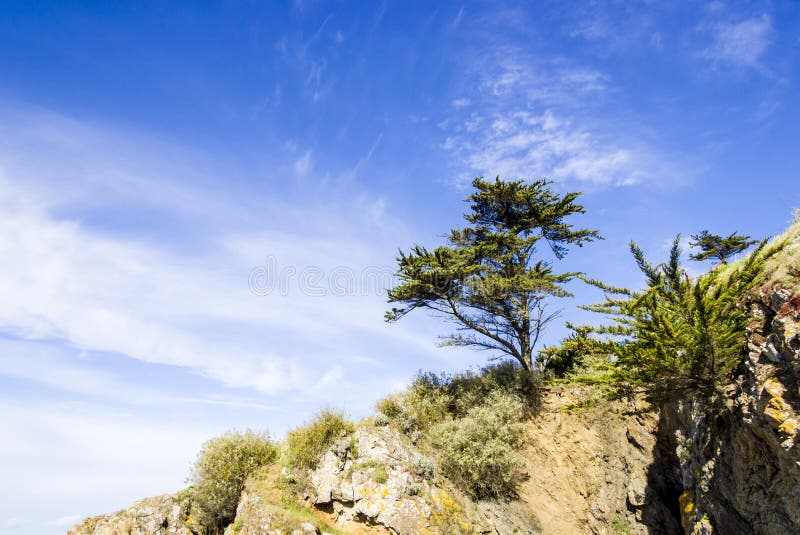 Landscape with a Tree on a Cliff Stock Photo - Image of point, cliff ...