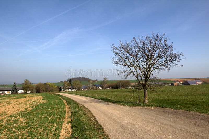 Landscape with tree stock image. Image of field, sowing - 46967665