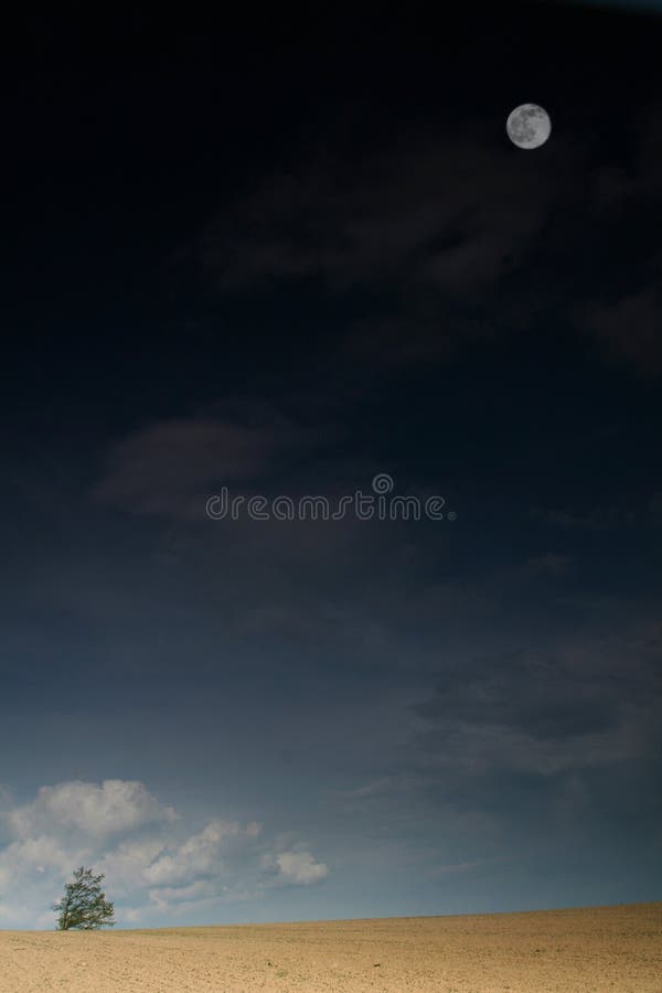 Landscape with Tree and Moon Stock Image - Image of dark, black: 811091