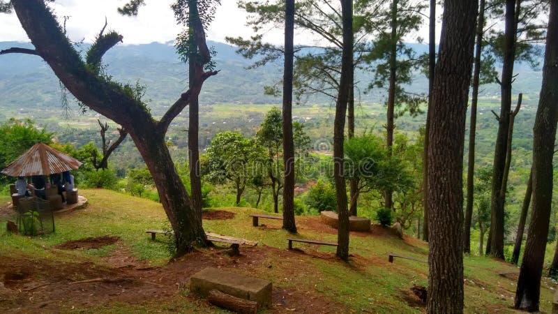 Landscape stock photo. Image of nature, alam, landscape - 85317702