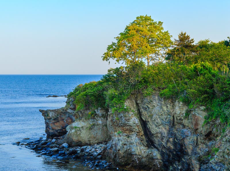 Landscape Tree on Ocean Cliff Stock Photo - Image of overlooking ...