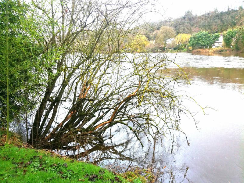 Landscape stock image. Image of river, tree, water, nature - 95073261