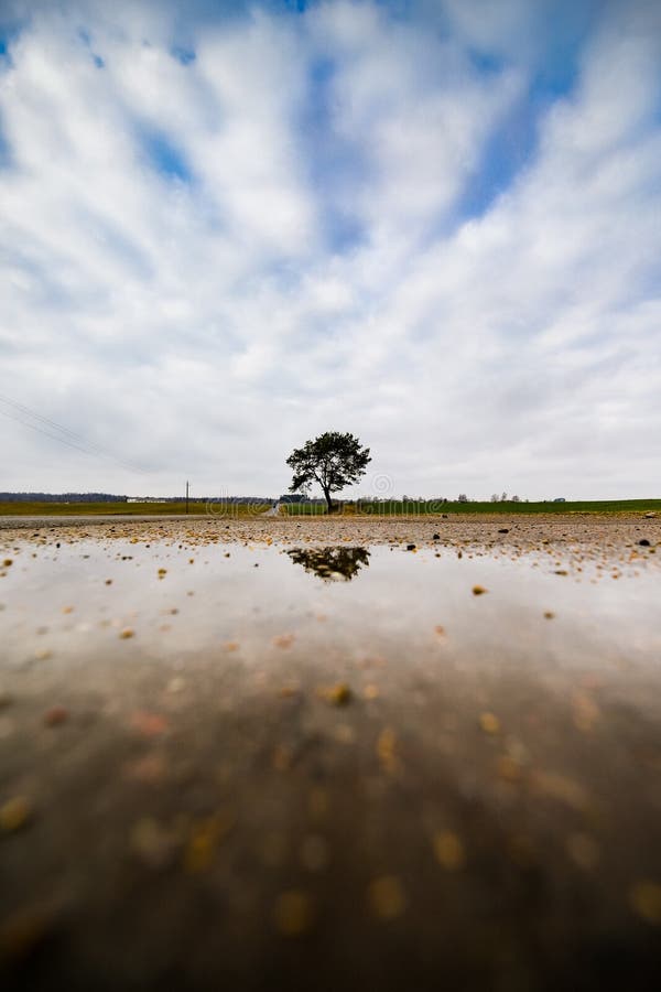 Landscape with Tree and Road Stock Photo - Image of asphalt, winter ...