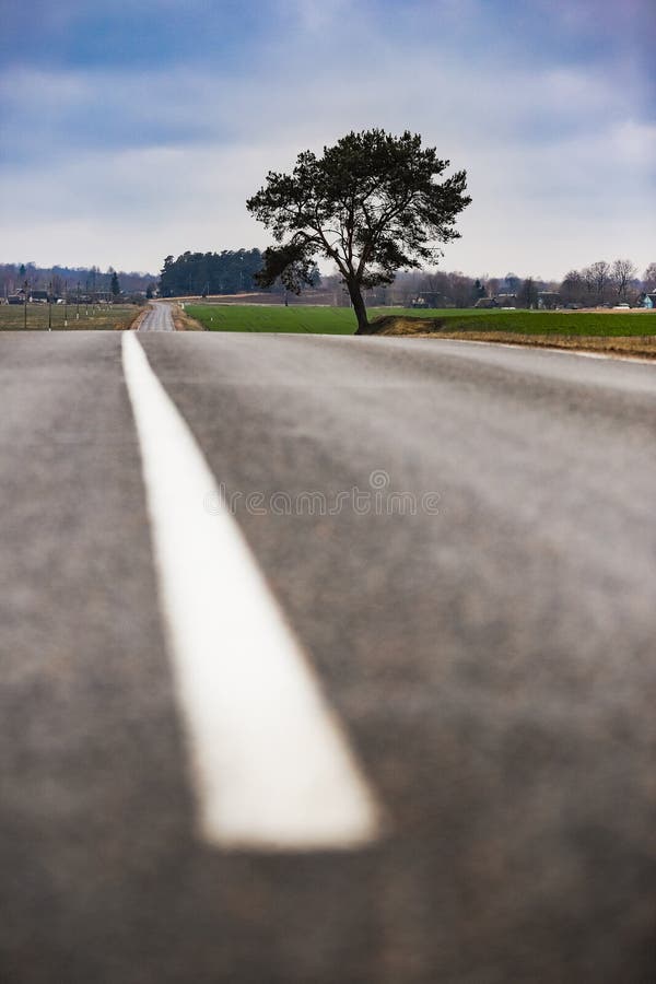 Landscape with Tree and Road Stock Image - Image of asphalt, green ...