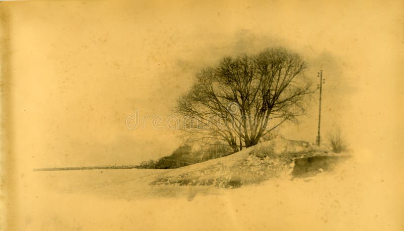Landscape with a Tree in Sepia Stock Image - Image of retro, watercolor ...