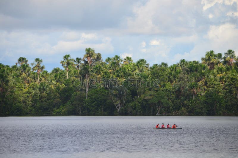 Landscape of the Treeline of the Amazon Rainforest, from the Amazon ...
