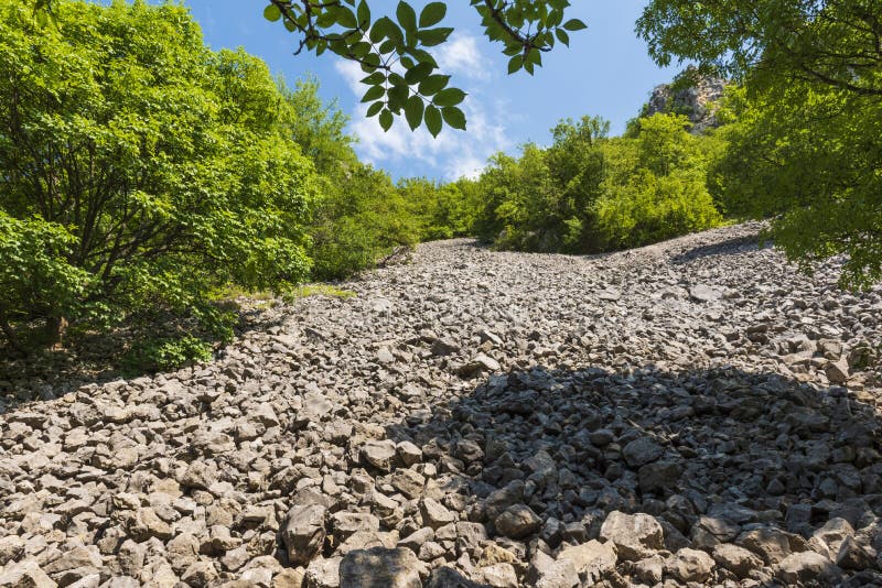 Landscape with Trees, Blue Sky and a Surface of Pebbles Stock Photo ...