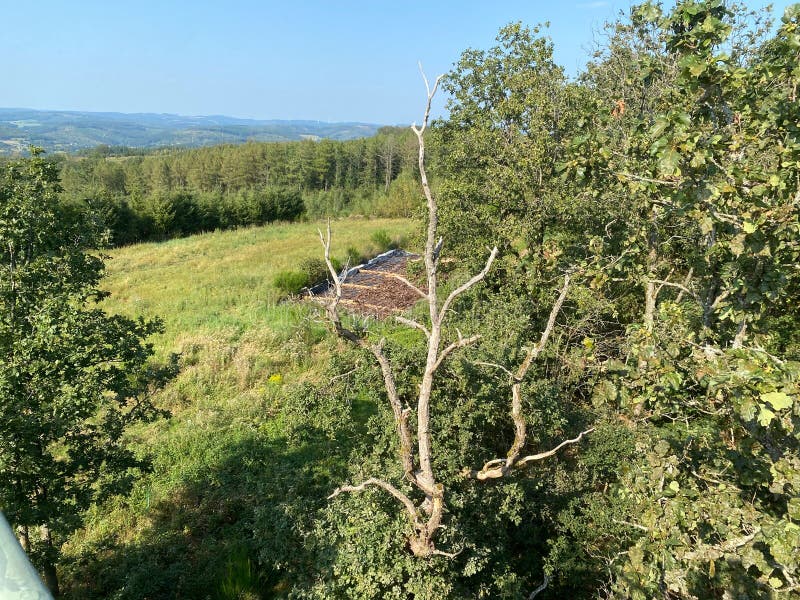 Landscape with Trees and Bushe Stock Image - Image of outdoor, tree ...